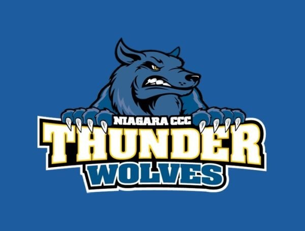 Projects Archive - Computer Comforts, Inc.